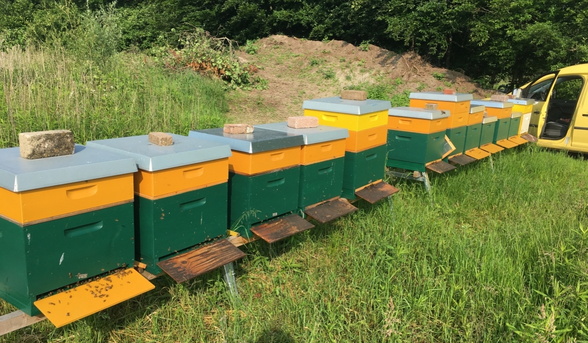 Imkerij De Linde|imkersartikelen, honing, koninginnengelei, waskaarsen